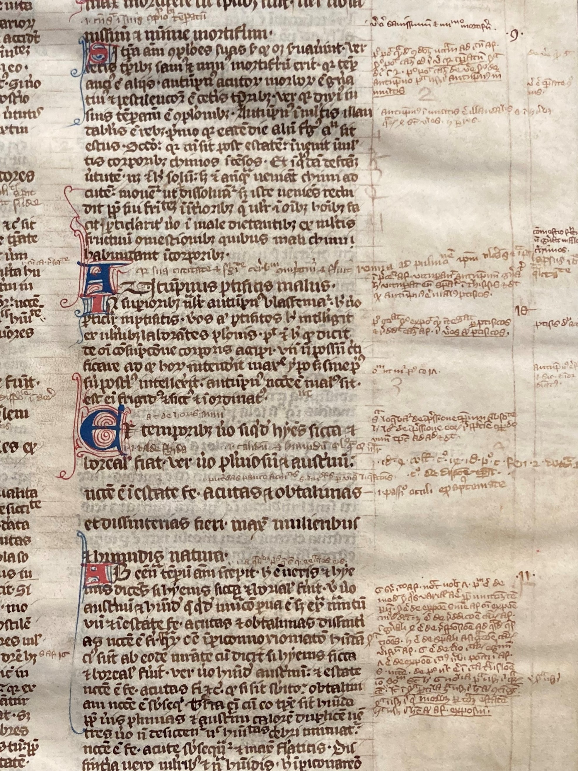 Medicine – St John's College Library, Oxford